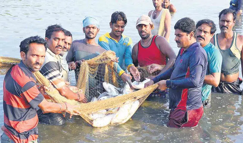 Blue Revolution in Telangana: Fish production takes giant leap ...